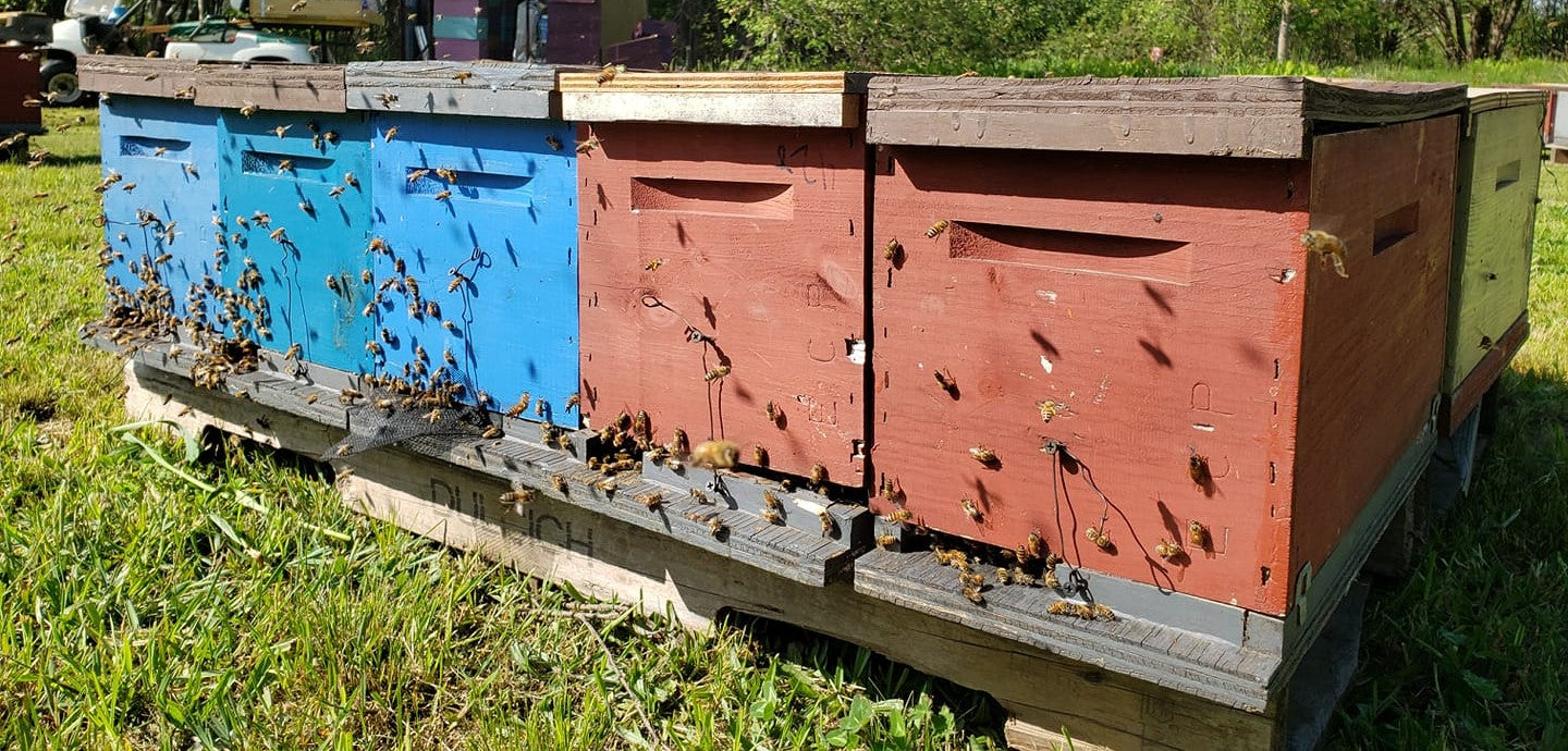 Maxwell's Honey Bee Farm llc – Maxwells Honey Bee Farm llc